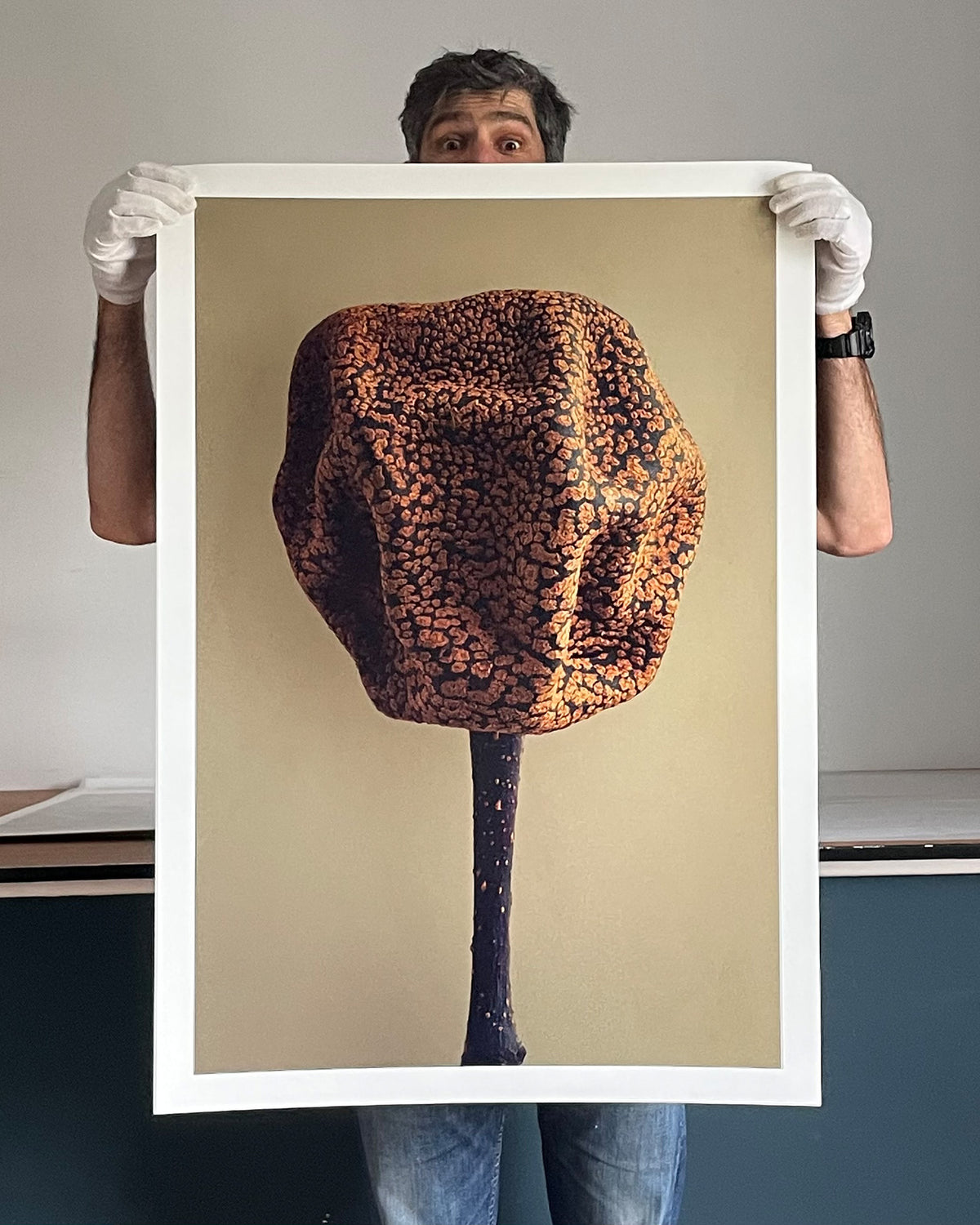 Himalayan Pear | Levon Biss Studio