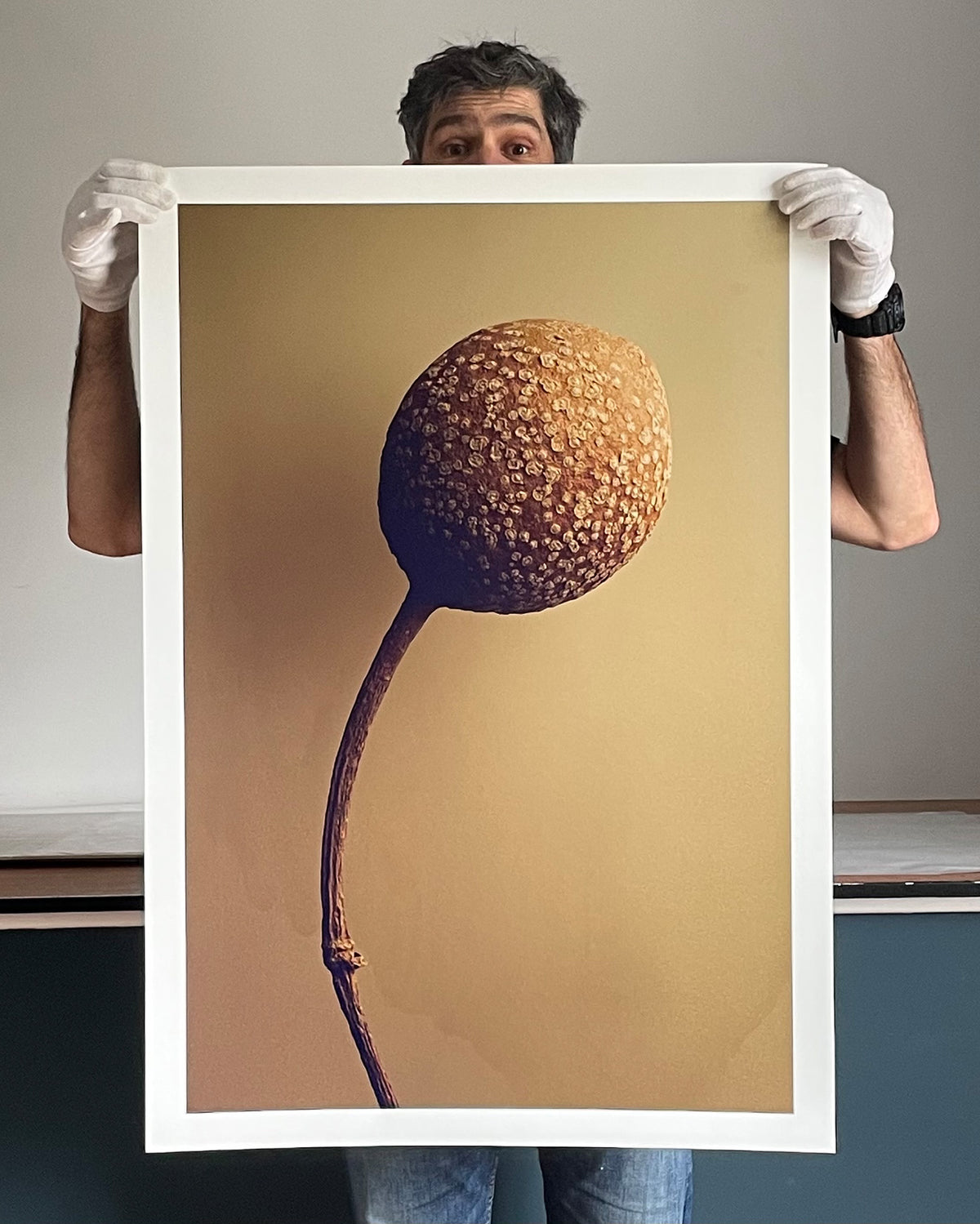 Sacred Garlic | Levon Biss Studio